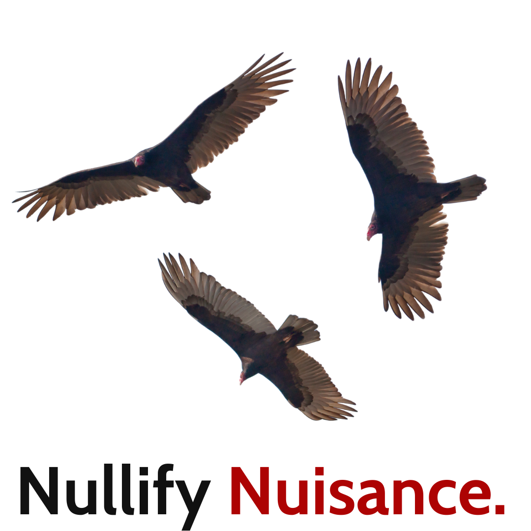 Nullify Nuisance! - Bird Control Services, Inc.